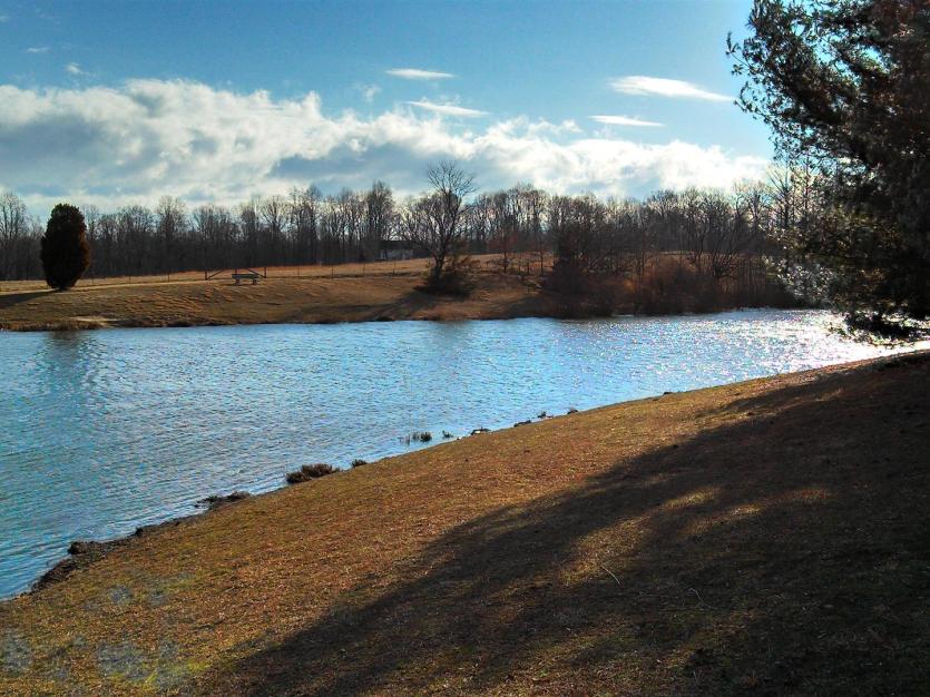 Hutchins Pond | VisitMaryland.org